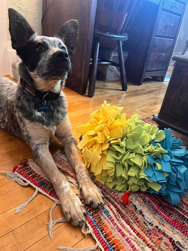 Toy - Snuffle Mat – The Joy of Wagging