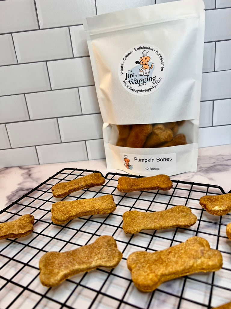 Bone - Pumpkin – The Joy of Wagging